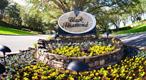 Black Diamond POA | Lecanto FL